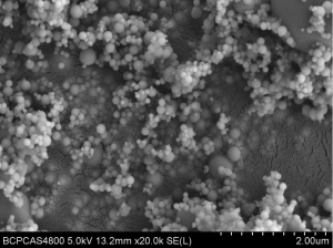 Indium Phosphide Chip Polishing Slurry